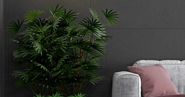 Crag 60x120 Porcelain Tiles | AhdeArt**